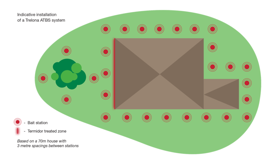 Termite Treatment Options - Eagle Pest Control Perth